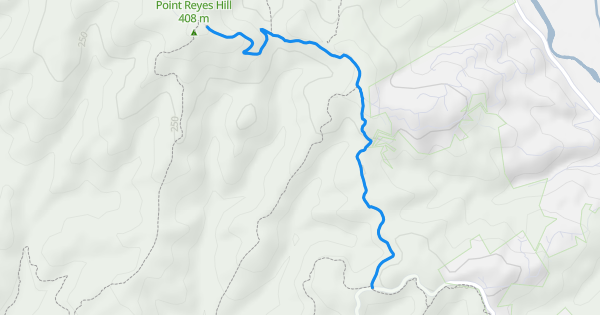 Inverness Ridge Trail Multi Trail - Point Reyes Station