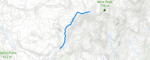 Mountain Top Trail Multi Trail - Mill Valley, California