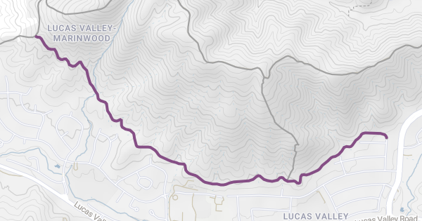 Idylberry Trail Multi Trail - Lucas Valley - Marinwood