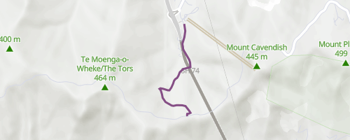 Bridle path - North side Mountain Biking Trail - Christchurch