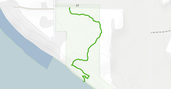 Point Whitehorn Trail to Beach Hiking Trail - Birch Bay