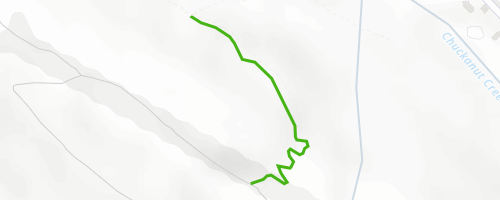 Chuckanut Falls Trail Hiking Trail - Bellingham, WA