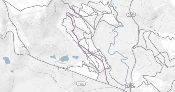 PW 001 Climb Multi Trail - Lidgetton | Trailforks