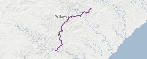 R 349 Willowvale Multi Trail - | Trailforks