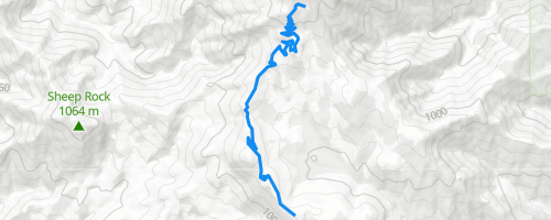 Sundance Mountain Biking Trail - Wenatchee, Washington