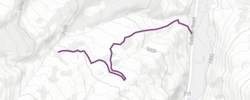 Lower Buck Ridge Trail Multi Trail - Big Sky, Montana
