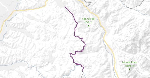 Big River Mountain Biking Trail - Reefton | Trailforks