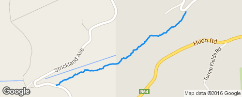 Rivulet Mountain Biking Trail - Hobart | Trailforks