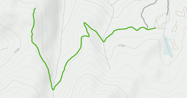 Muir Grove Trail Hiking Trail - Three Rivers, California