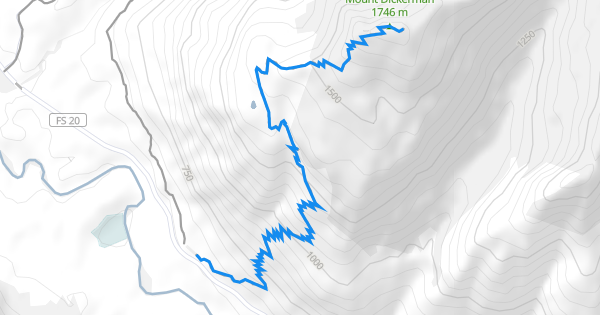 Mount Dickerman Trail Hiking Trail - - Washington