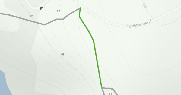 OCT - Octopus Tree Hiking Trail - Tillamook, OR