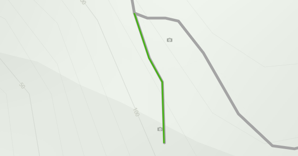 Octopus Tree Viewpoint Hiking Trail - Tillamook, OR