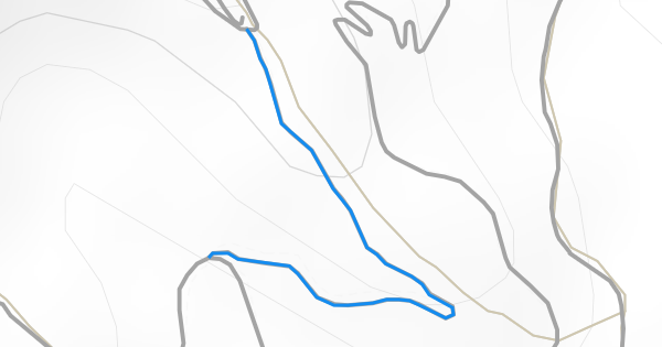 Wild Polly Mountain Biking Trail - Morisset | Trailforks
