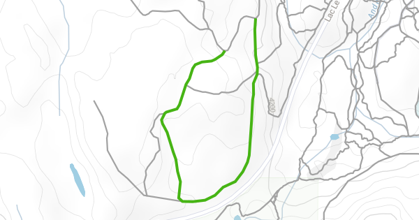 Bush South Outer Loop Snowshoeing Trail - Kamloops