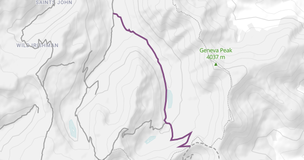 Webster Pass Road Multi Trail - Montezuma, CO