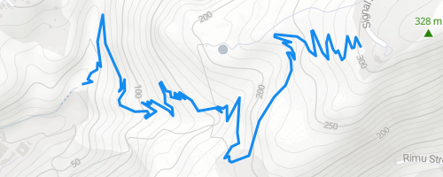 Design Windows Easy Down Mountain Biking Trail - Dunedin