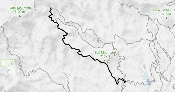 Bull Mountain Trail Multi Trail - Dahlonega, Georgia