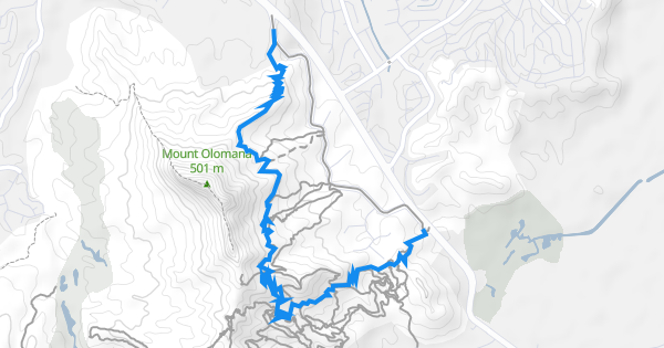 Ohana Trail Mountain Biking Trail - Kailua, Hawaii