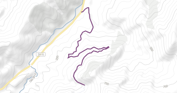 Mt Duppa Summit Road Mountain Biking Trail - Nelson