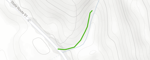 Tinker Falls Trail Multi Trail - Syracuse, New York
