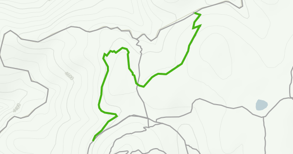 Naneum Ridge XC Loop Mountain Biking Trail - Ellensburg