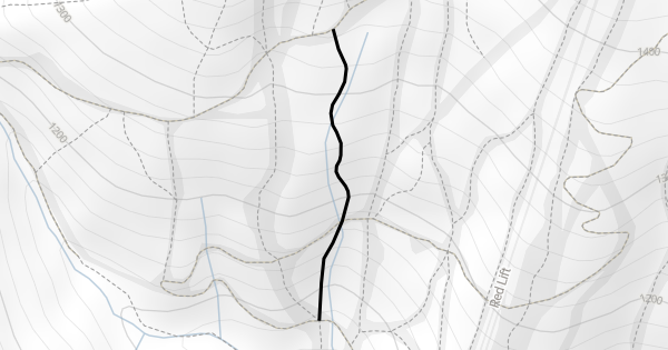 Goofy Glades Skiing Trail - Quesnel, British Columbia