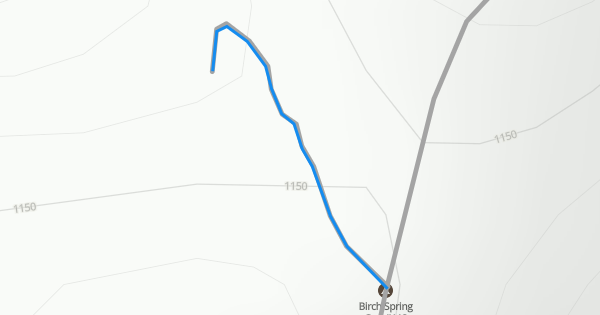 A.T. Side Trails: Birch Spring Gap Campsite Side Trail Hiking Trail ...