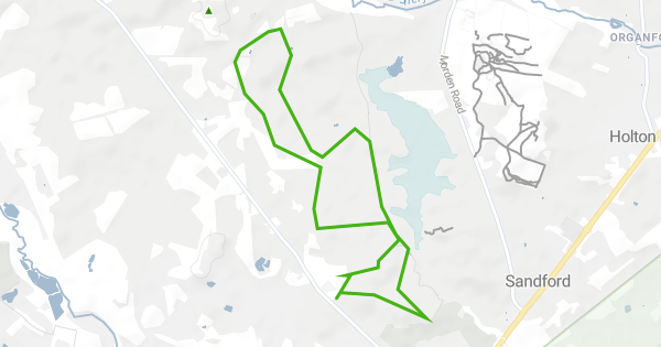 Sika Trail - wareham Forest Mountain Biking Trail