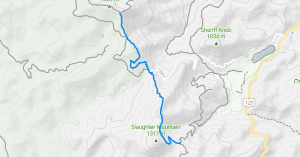 Coosa Backcountry / Duncan Ridge Trail Hiking Trail - - Georgia