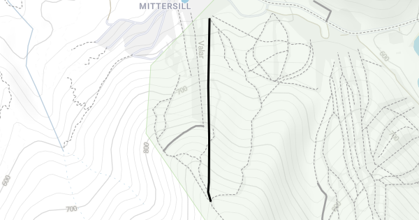 Mittersill Lift Line Skiing Trail - Franconia, NH