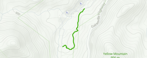 Vogel Campground Trail Mountain Biking Trail - GA