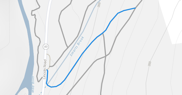 Smarts Brook Trail Multi Trail - Thornton, New Hampshire