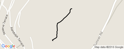 Jackasaurus Mountain Biking Trail - Lyttelton