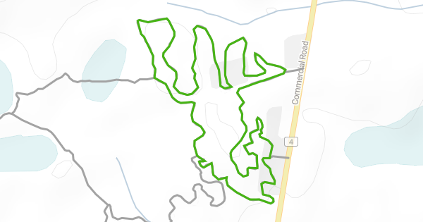 Red Loop Mountain Biking Trail - Murray River, PE