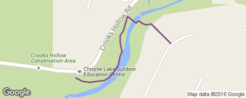 Crooks Hollow Access Path Mountain Biking Trail - Dundas