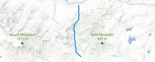 Bolles Trail Multi Trail - Albany, New Hampshire