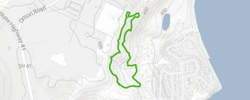 Pukawa Bay Loop Track Hiking Trail - National Park