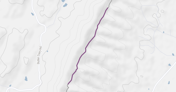 Taylors Ridge Road Multi Trail - - Georgia | Trailforks