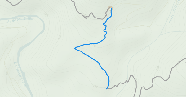 Emerald Ridge Trail Hiking Trail - Orick, California