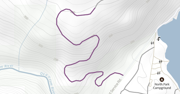 Mt Mark Access Road Hiking Trail - Bowser, BC