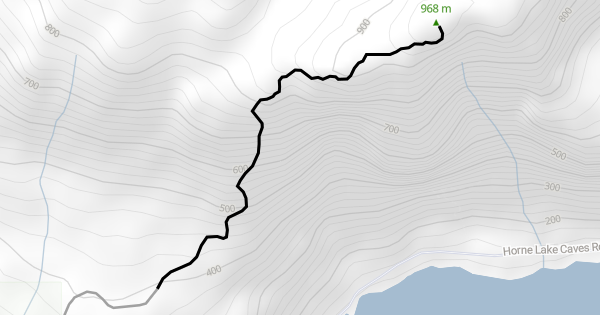 Mount Mark Summit Trail Hiking Trail - Bowser, BC