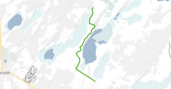 Mcnab Lakes Trail Hiking Trail - Georgian Bluffs Township
