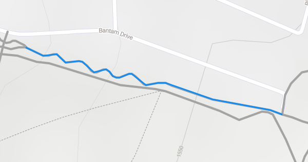 Lower Berm Line Multi Trail - Delta Park, Boksburg