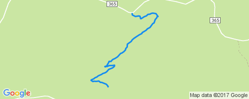 Carcass Mountain Biking Trail - Missoula, Montana