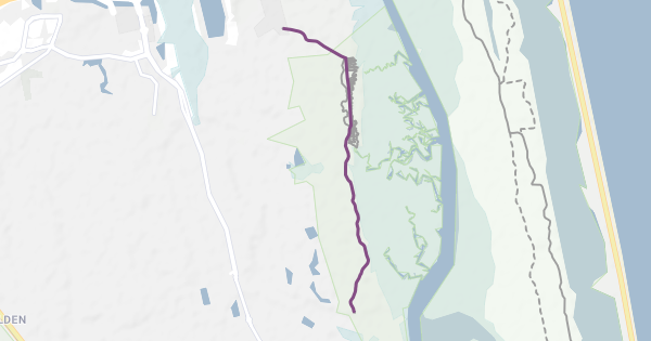 Nocatee Preserve Greenway Multi Trail - St. Augustine