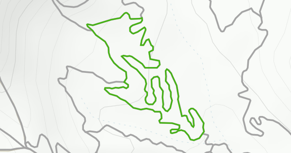 Goanna Loop Mountain Biking Trail - Gold Coast