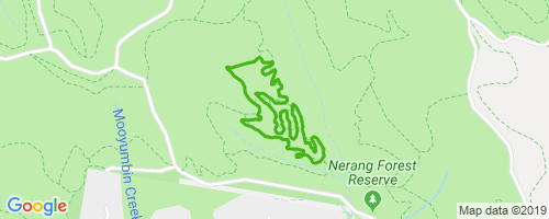 Goanna Loop Mountain Biking Trail - Gold Coast