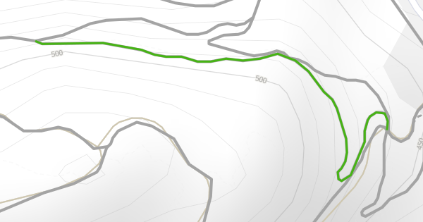 Forest Loop - Tūhua at Tank to Town Mountain Biking Trail - Rotorua