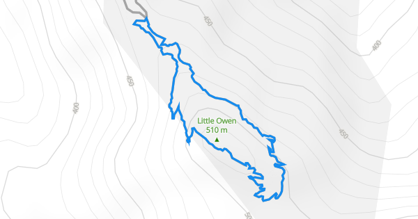 Sledge Track Mountain Biking Trail - Queenstown