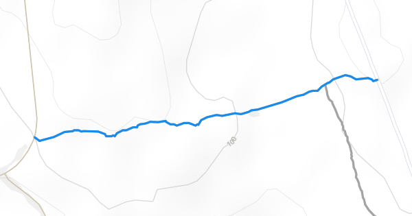 Dawley Swamp Mountain Biking Trail - Exeter, Rhode Island